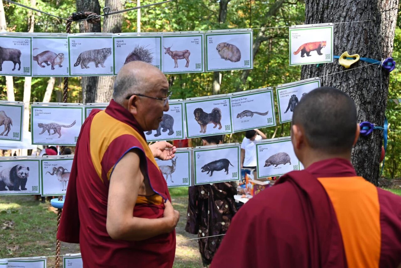 བོད་ཀྱི་ཉིན་མོ། | སྐྱེ་ཁམས་ཐེབས་རྩ་ཚོགས་པ།Tibetan Ecology Foundation